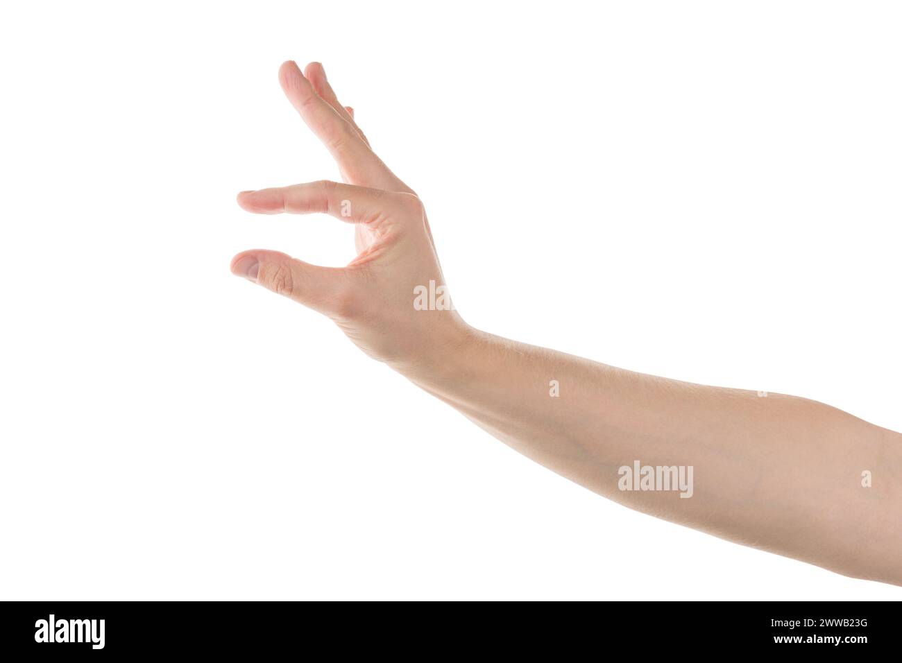 Adult man hand hold something isolated on white background, side view ...