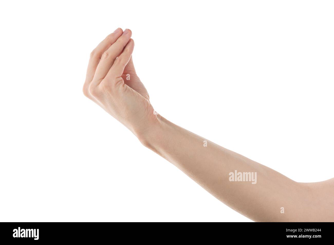 Adult man hand Italian gesture isolated on white background, side view ...