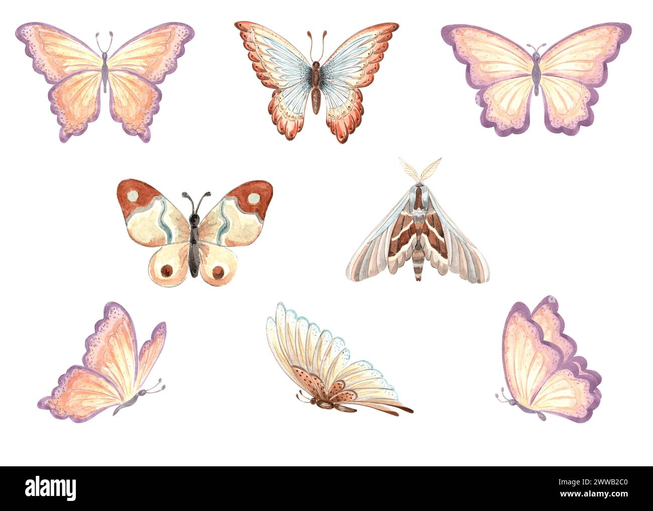 Watercolor set of colorful butterflies and night moth. Isolated hand ...