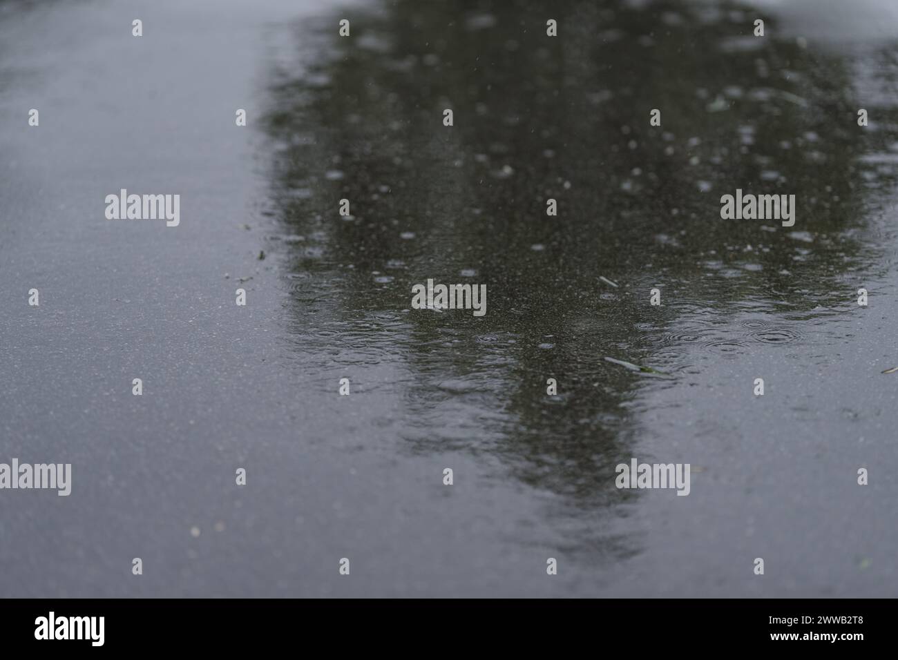 Closeup of lake water surface with wind ripples, shallow focus Stock ...