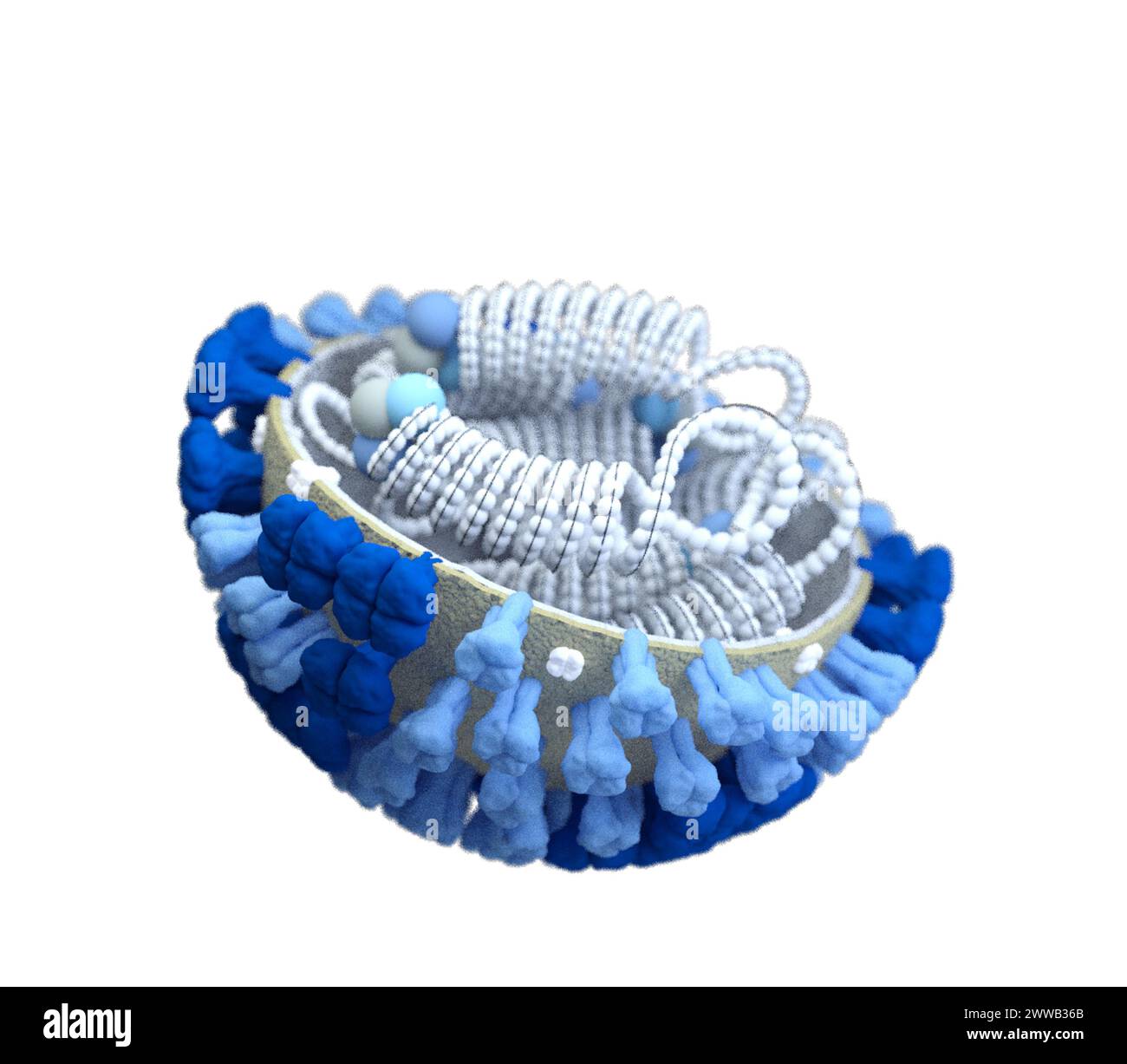 Rnp complex hi-res stock photography and images - Alamy