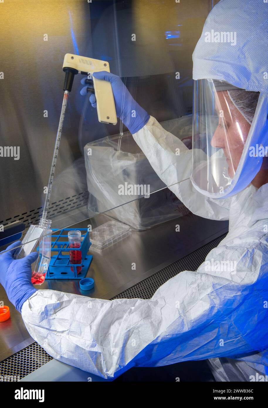 Biosafety level 3 laboratory hi-res stock photography and images - Alamy