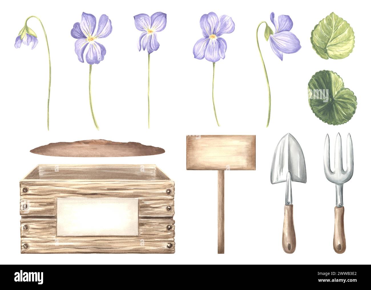 Watercolor set of wild violets with leaves, crate with soil, gardening ...