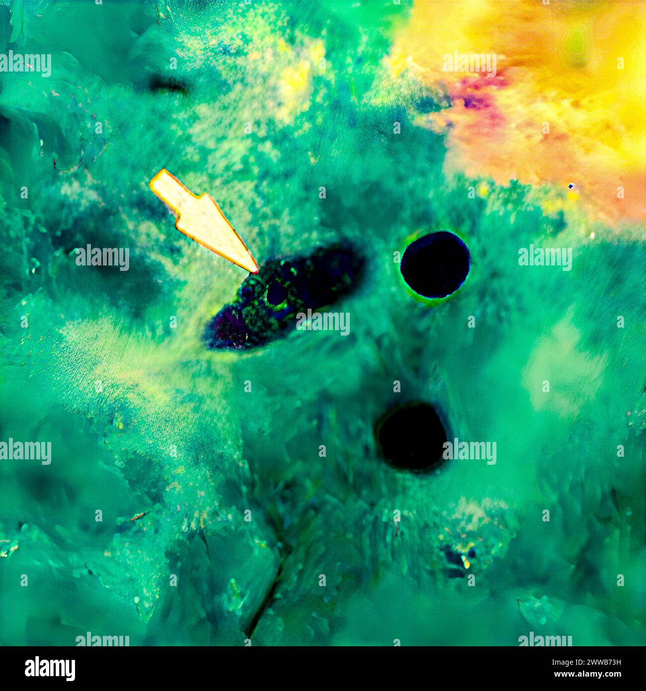 Naegleria fowleri is an amoeba (one-celled living organism) that lives ...