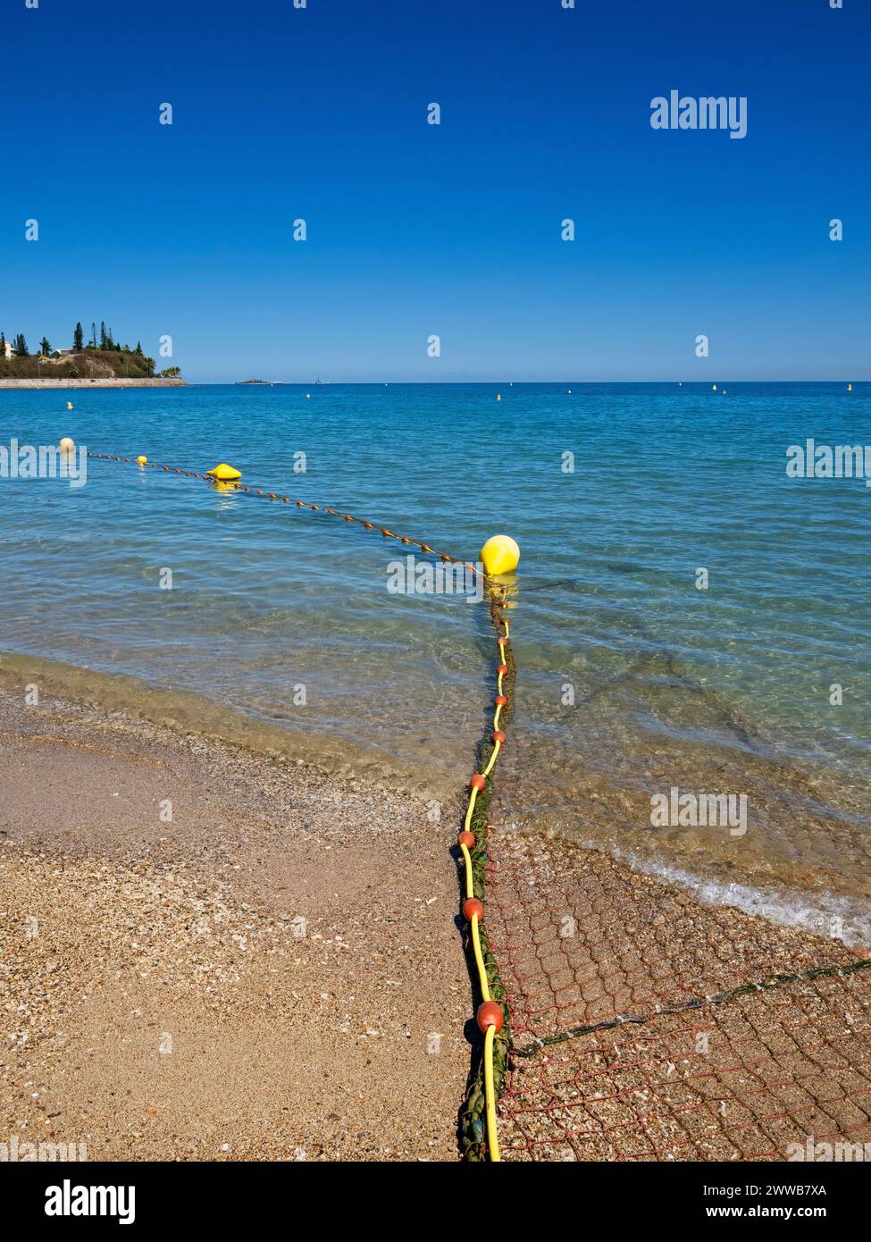 Shark net hi-res stock photography and images - Alamy