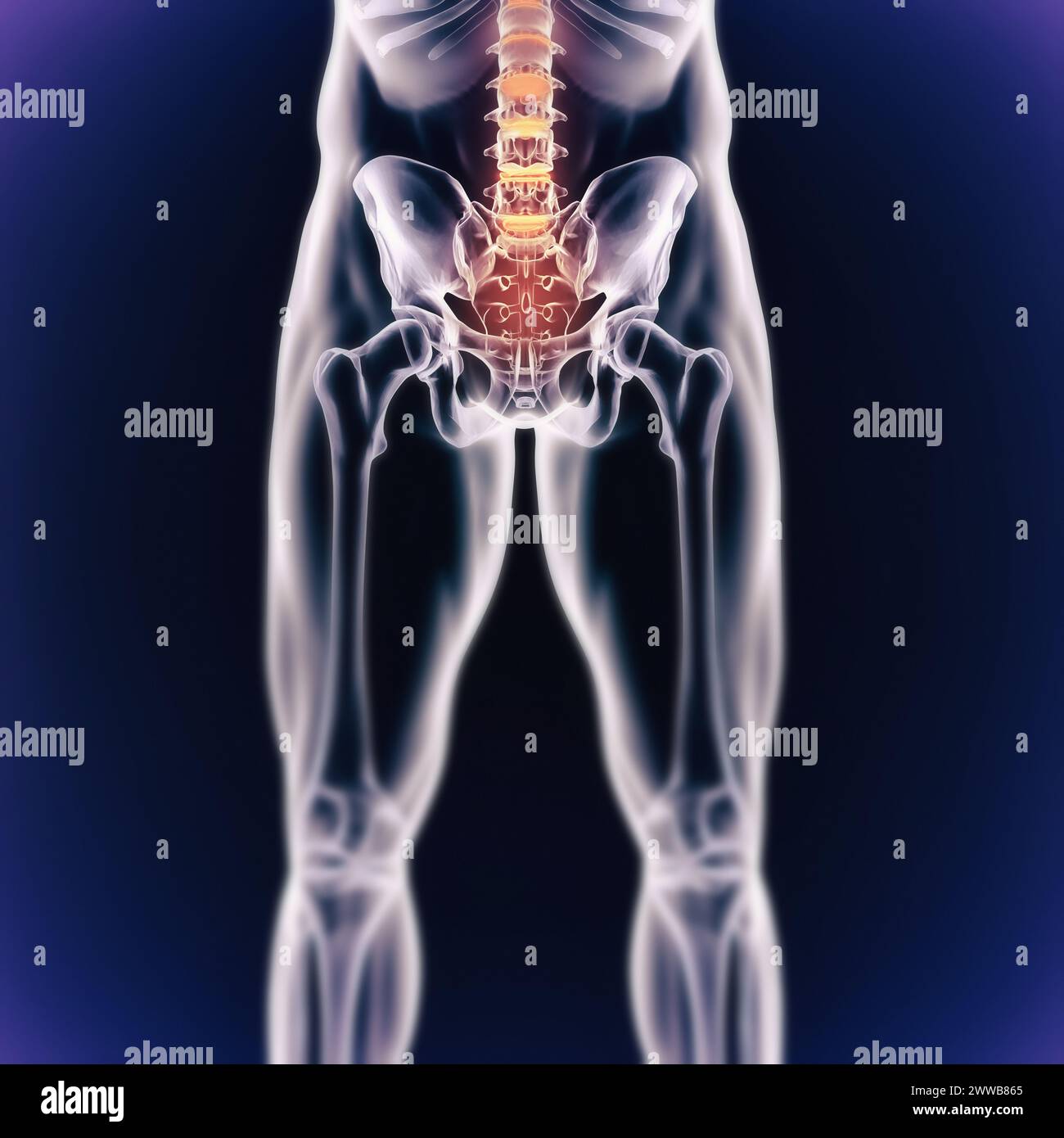 Male body, skeleton and pain with graphic for xray, medical and overlay ...