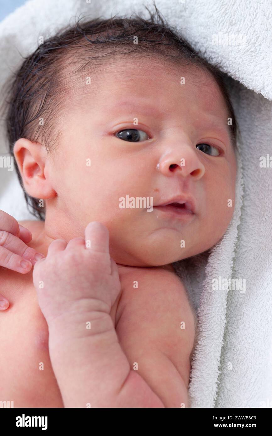 Awakened newborn face (2 days old Stock Photo - Alamy