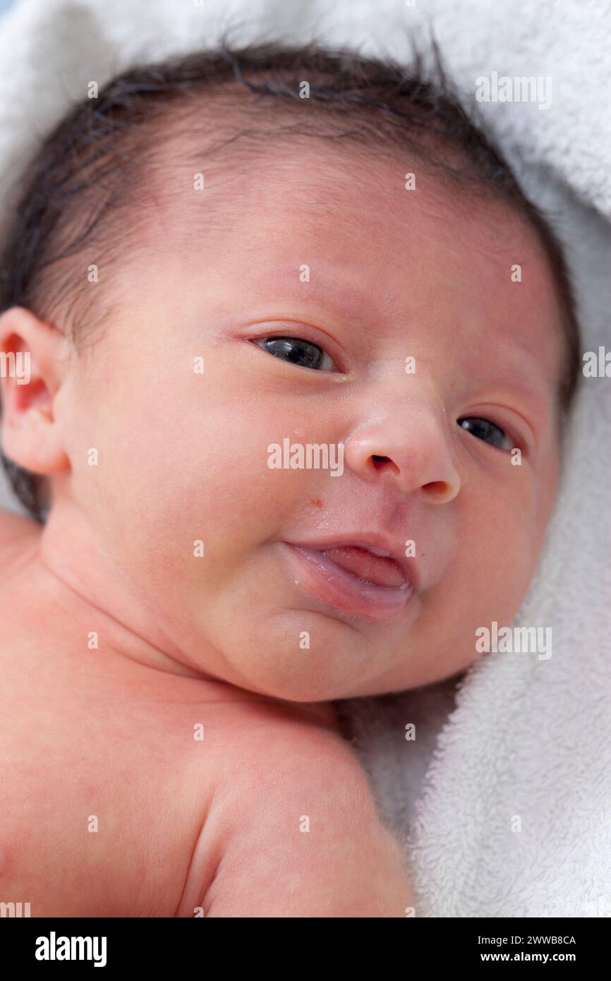 Face of awake newborn (2 days old) sticking out its tongue Stock Photo ...