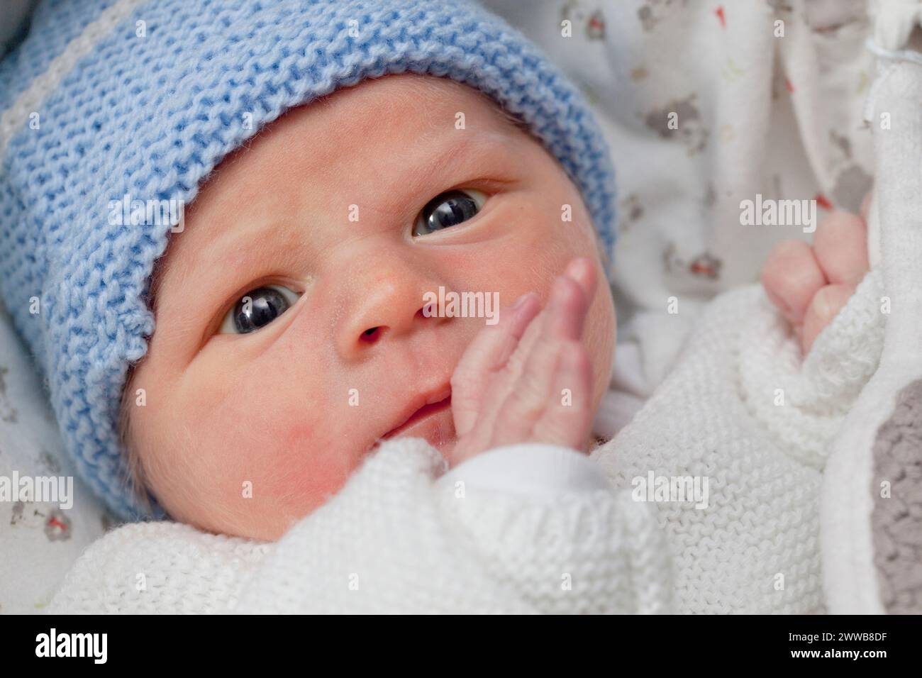 Newborn face (5 days old) awake with bonnet Stock Photo - Alamy