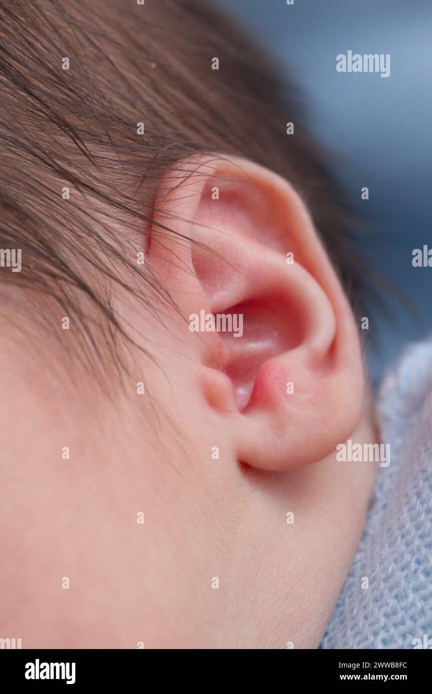Close-up of a 3-day-old newborn's ear. Baby is 2 days old Stock Photo ...