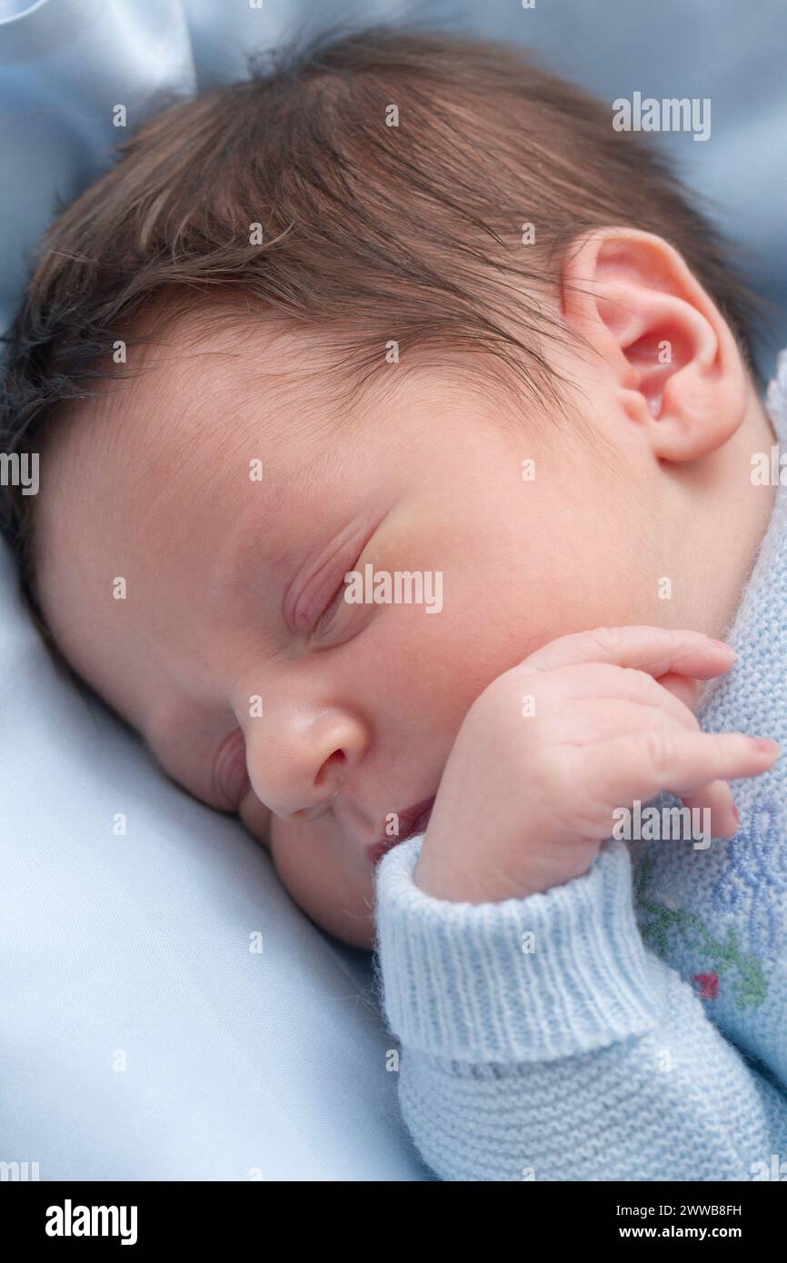 Sleepy days hi-res stock photography and images - Alamy