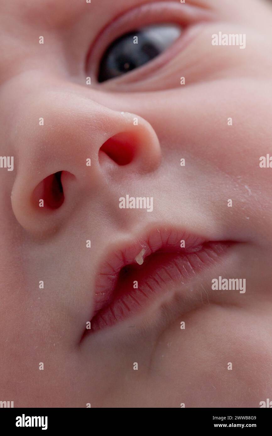 Mouth detail hi-res stock photography and images - Alamy