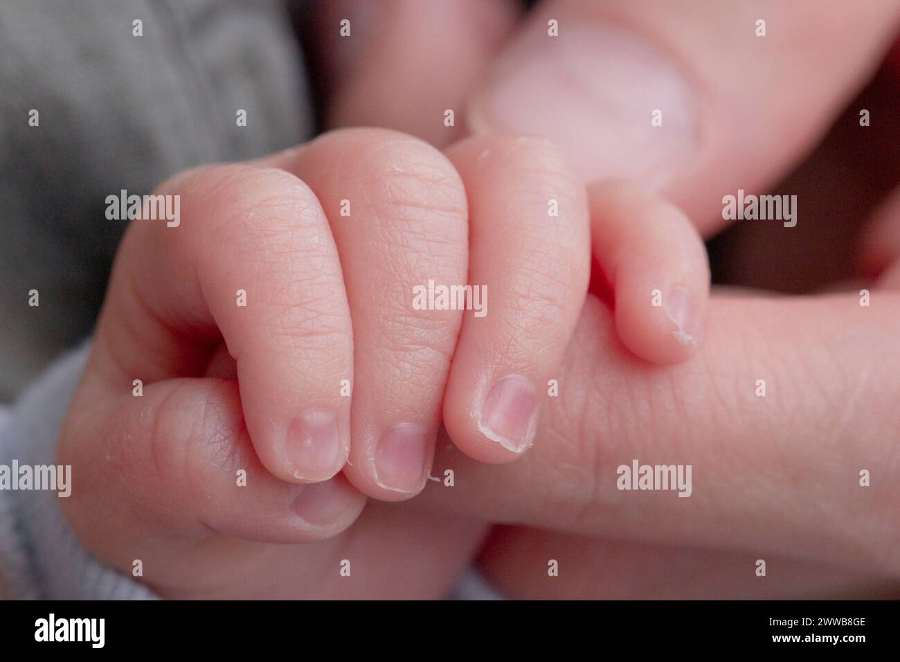 Babys anatomy hi-res stock photography and images - Alamy