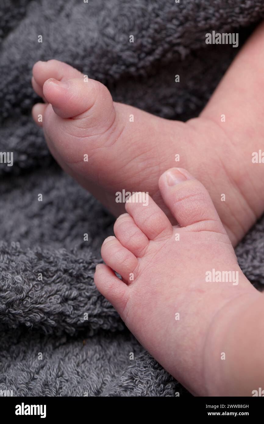 3 day old baby feet hi-res stock photography and images - Alamy