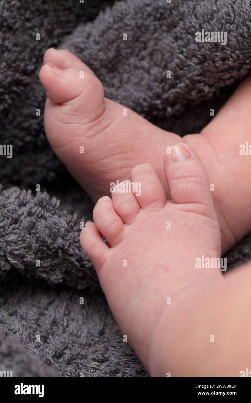 Close up shots of 3 day old newborn feet Stock Photo - Alamy