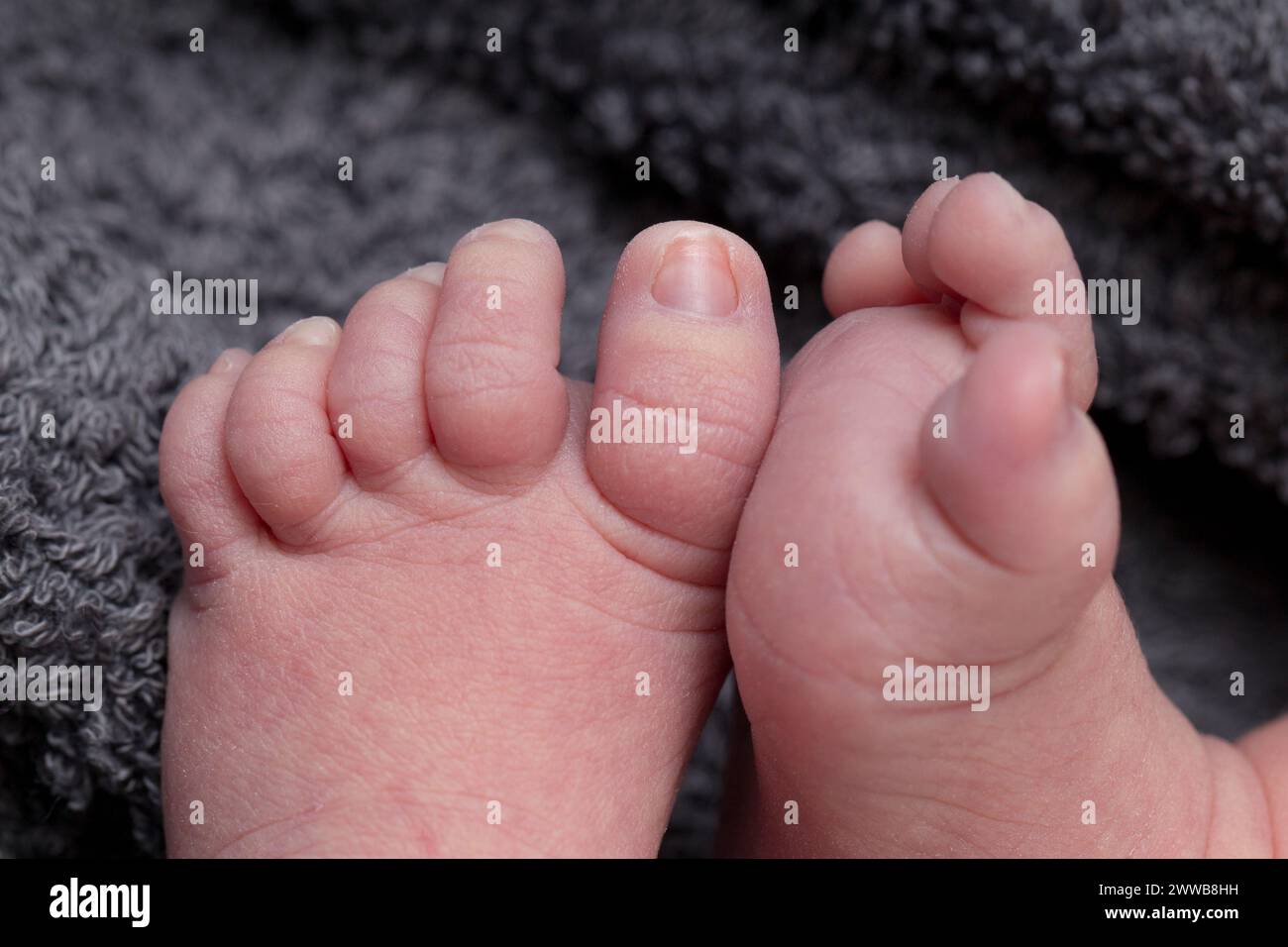 Close up shots of 3 day old newborn feet Stock Photo - Alamy