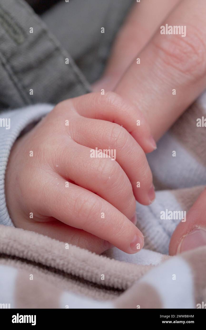 Neonatology service. Premature baby's hand squeezing his mom's finger ...
