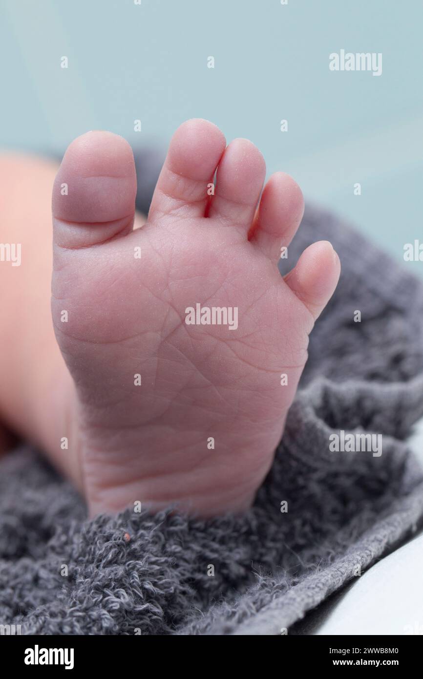 3 day old baby feet hi-res stock photography and images - Alamy