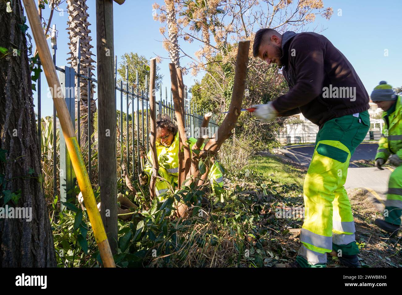 Disabled workers during green space maintenance workshops. These ...