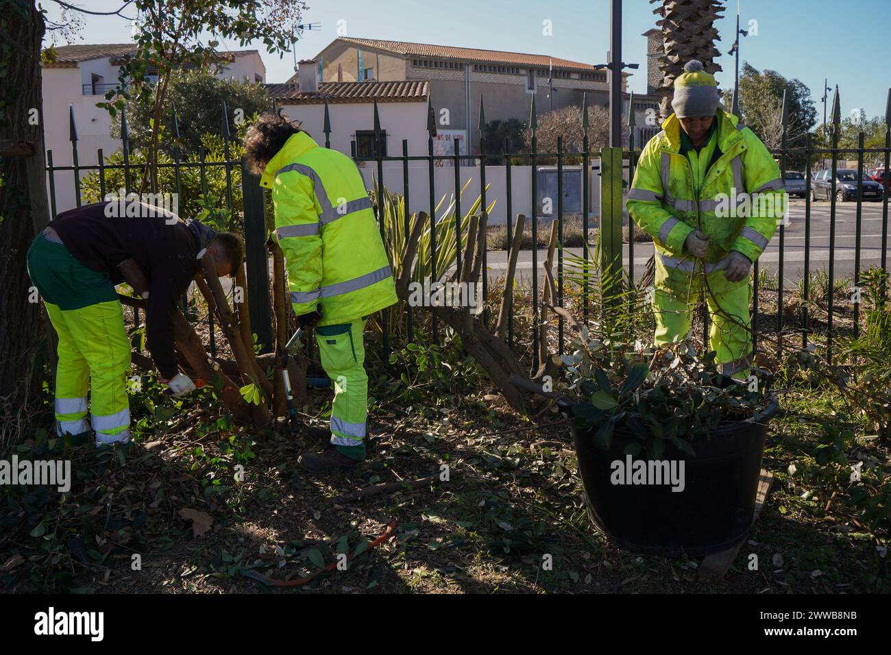 Disabled workers during green space maintenance workshops. These ...