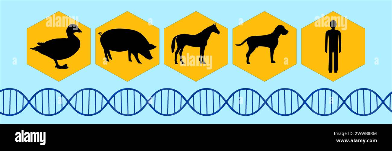 Graphic pictograms of animals - duck, pig, horse, dog and human Stock ...