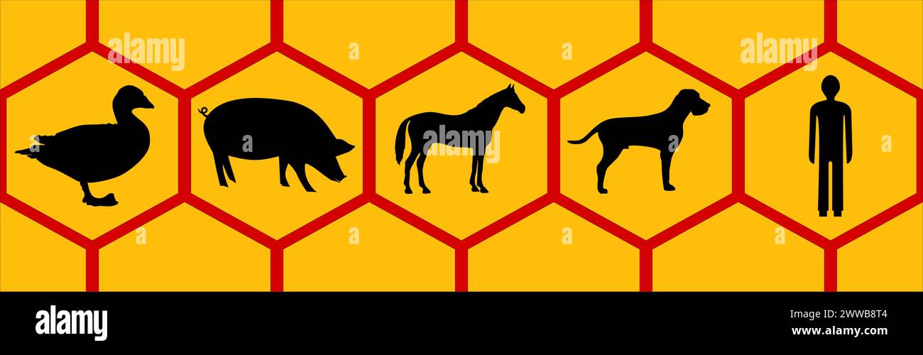 Graphic pictograms of animals - duck, pig, horse, dog and human Stock ...