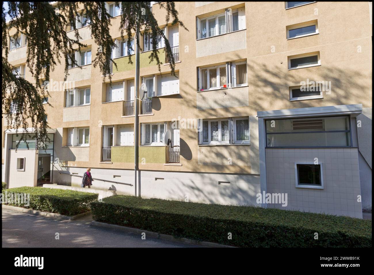 ASE - Childhood Social Assistance. After her intervention Isabelle ...