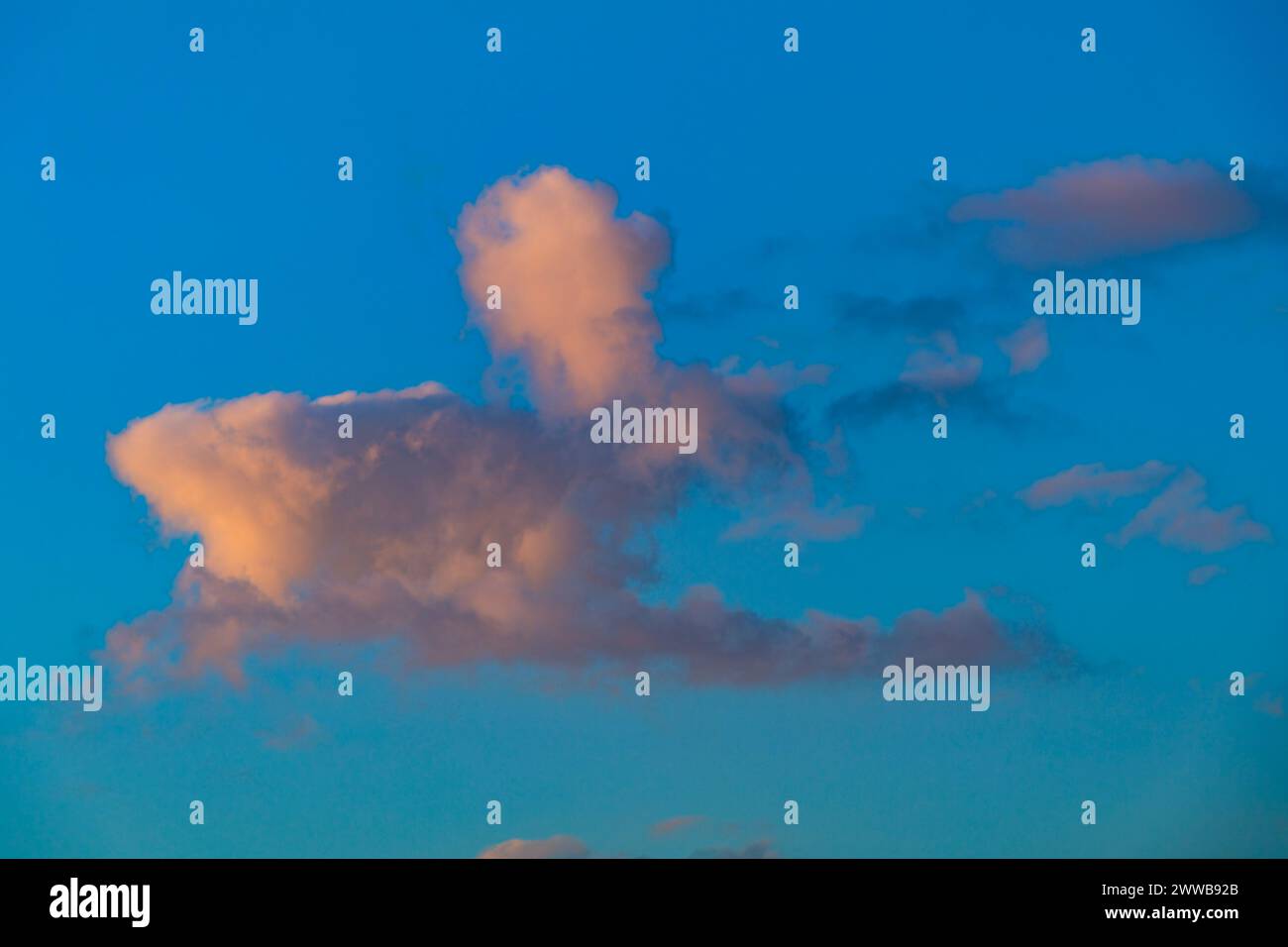 Cloud shaped like a hare Stock Photo - Alamy