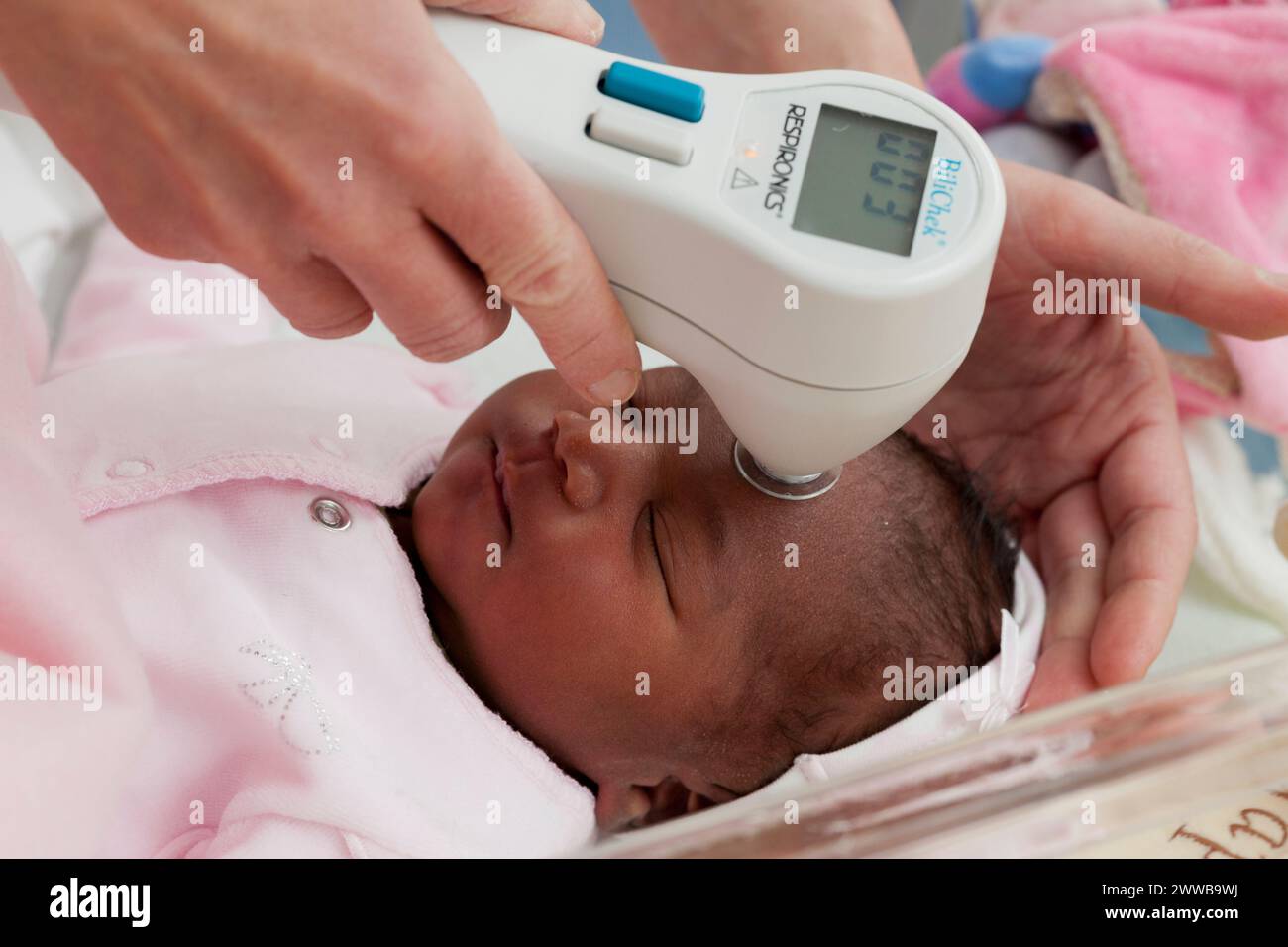 Midwife measuring the bilirubin level in a newborn using a ...