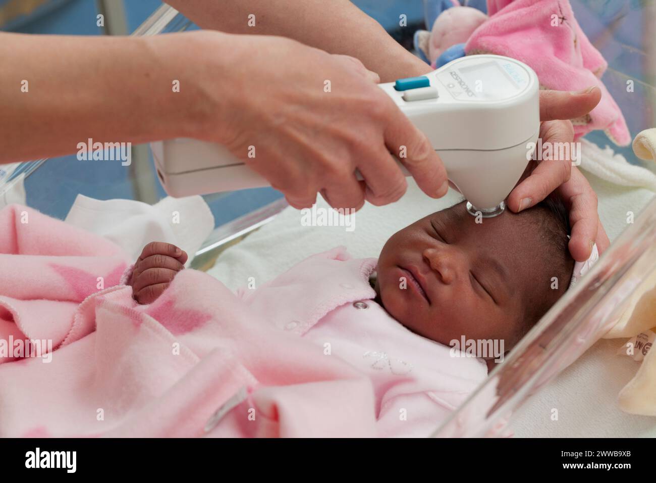 Midwife measuring the bilirubin level in a newborn using a ...