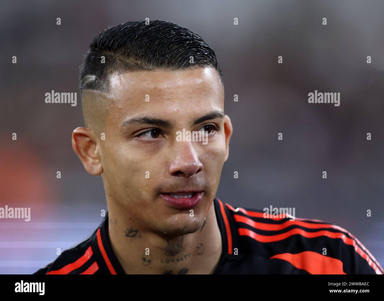Kevin castano hi-res stock photography and images - Alamy