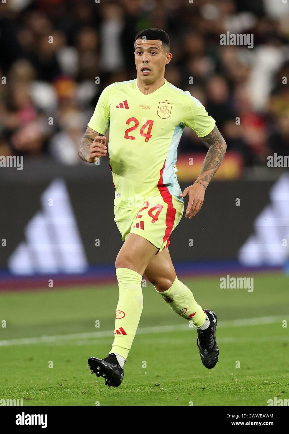 2024 pedro hi-res stock photography and images - Alamy