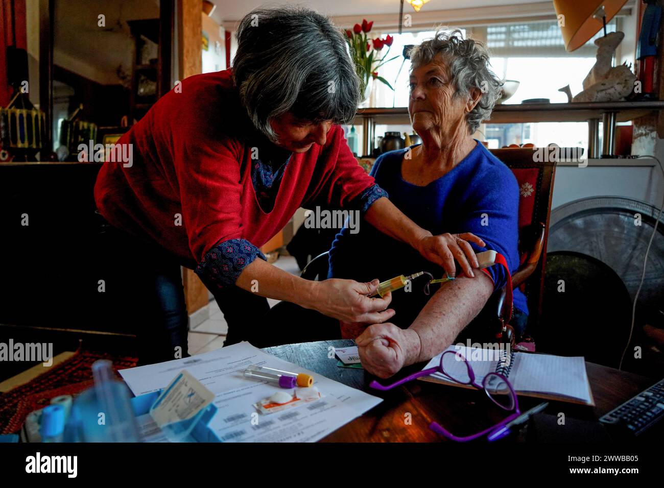 Home visit by a nurse to an elderly person. The nurse takes a blood ...