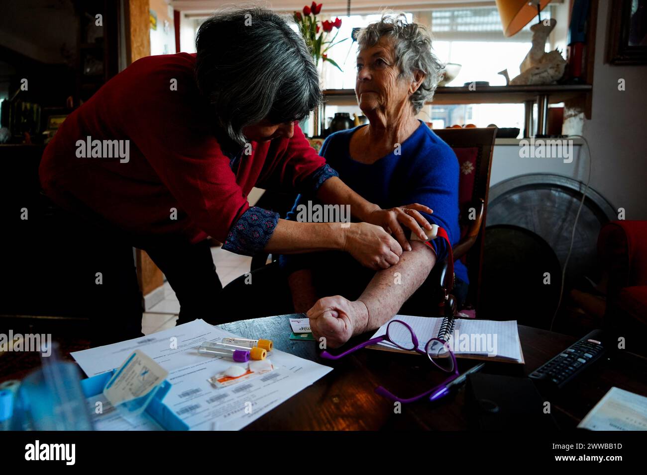Home visit by a nurse to an elderly person. The nurse takes a blood ...