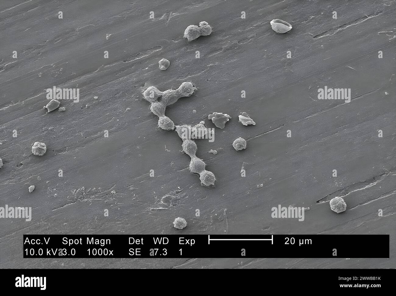 Magnified steel hi-res stock photography and images - Alamy