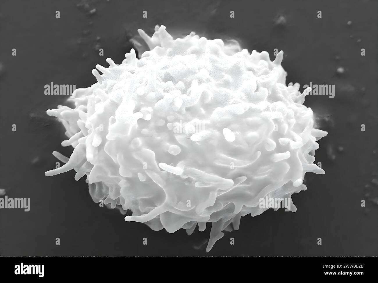 This scanning electron microscope (SEM) image revealed some of the ...