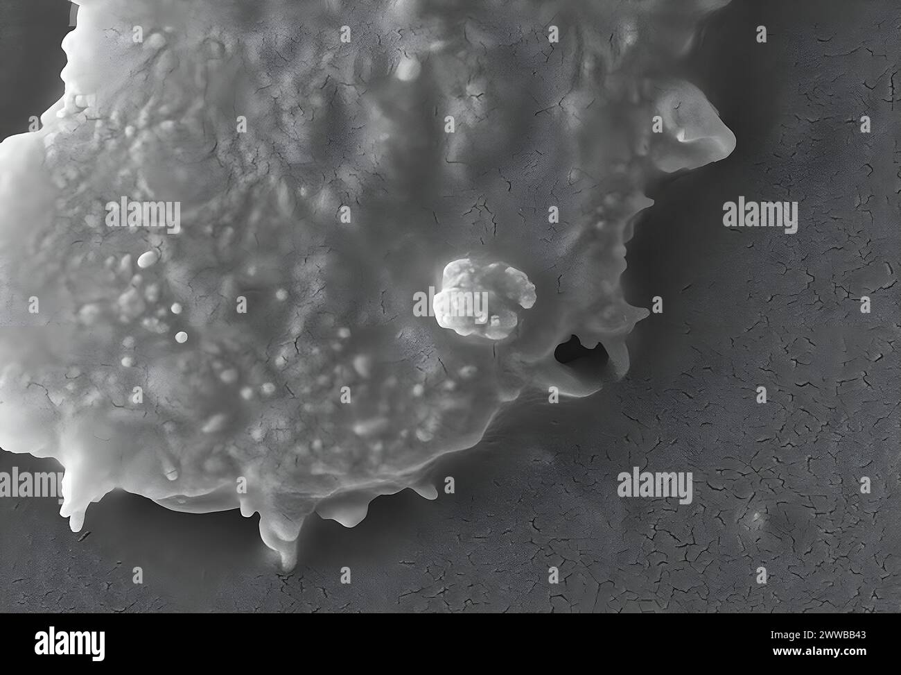 This scanning electron microscope (SEM) image revealed some of the ...