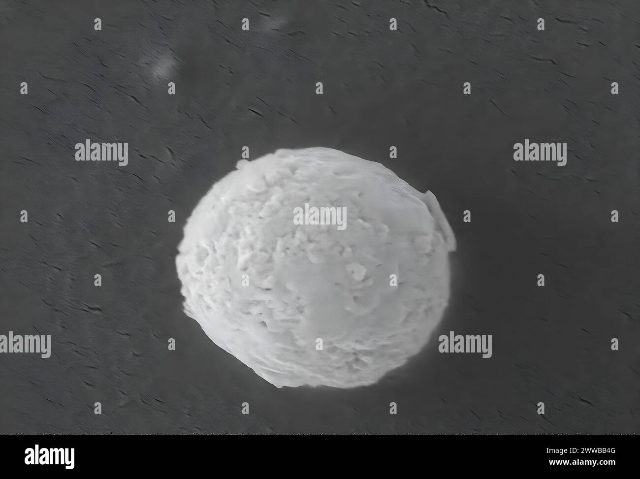 This scanning electron microscope (SEM) image revealed some of the ...