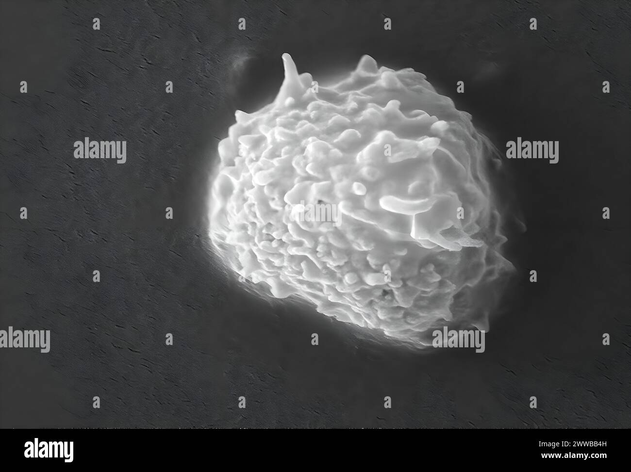 This scanning electron microscope (SEM) image revealed some of the ...