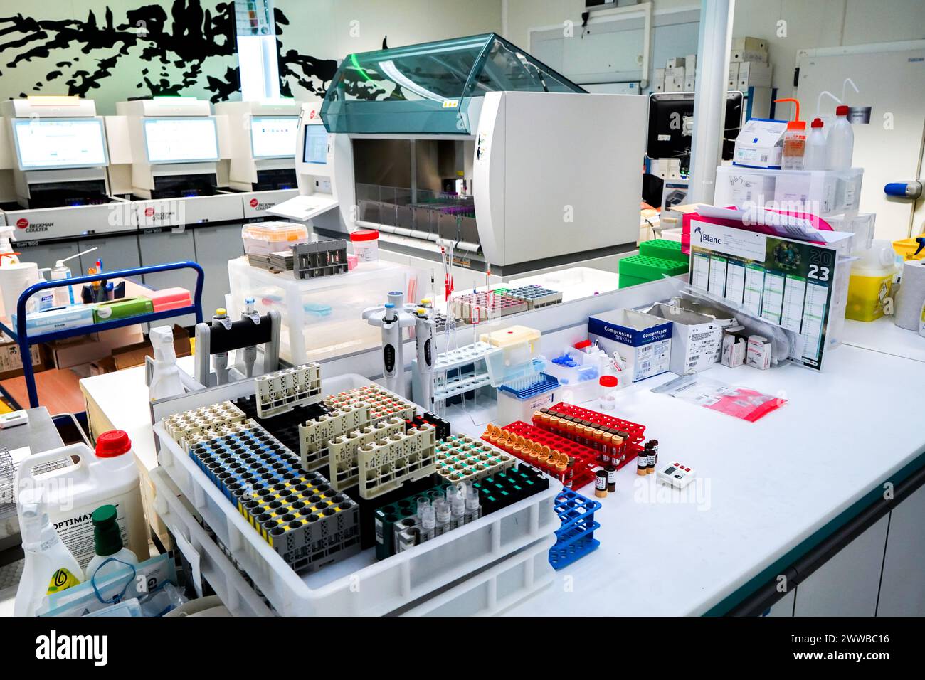 Technical platform of the Inovie 34 laboratory . Biochemistry bench ...