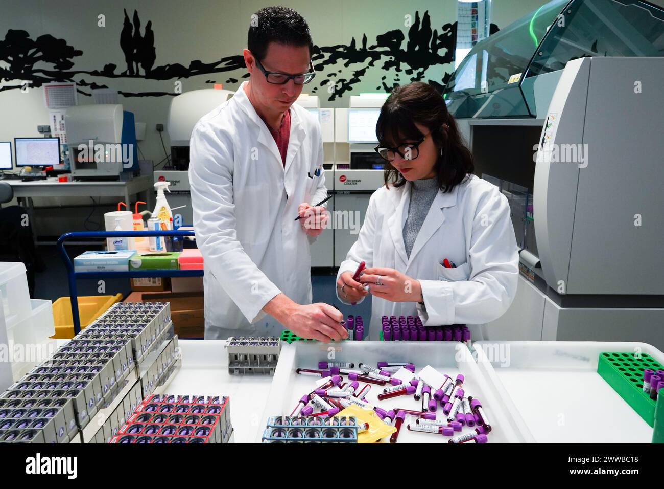 Technical platform of the Inovie 34 laboratory . Sorting sample tubes ...