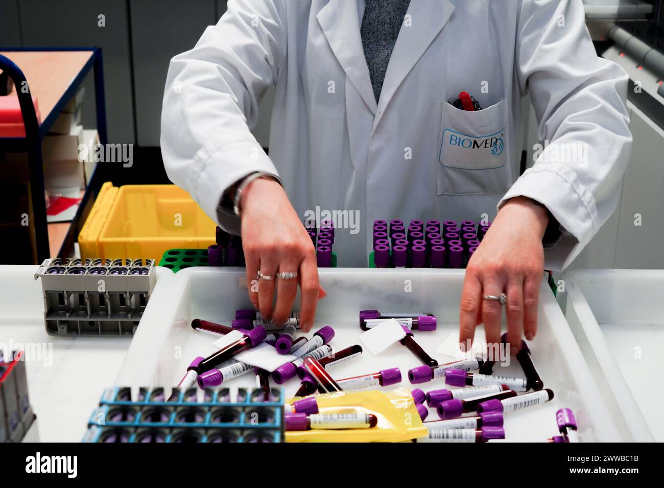 Technical platform of the Inovie 34 laboratory . Sorting sample tubes ...