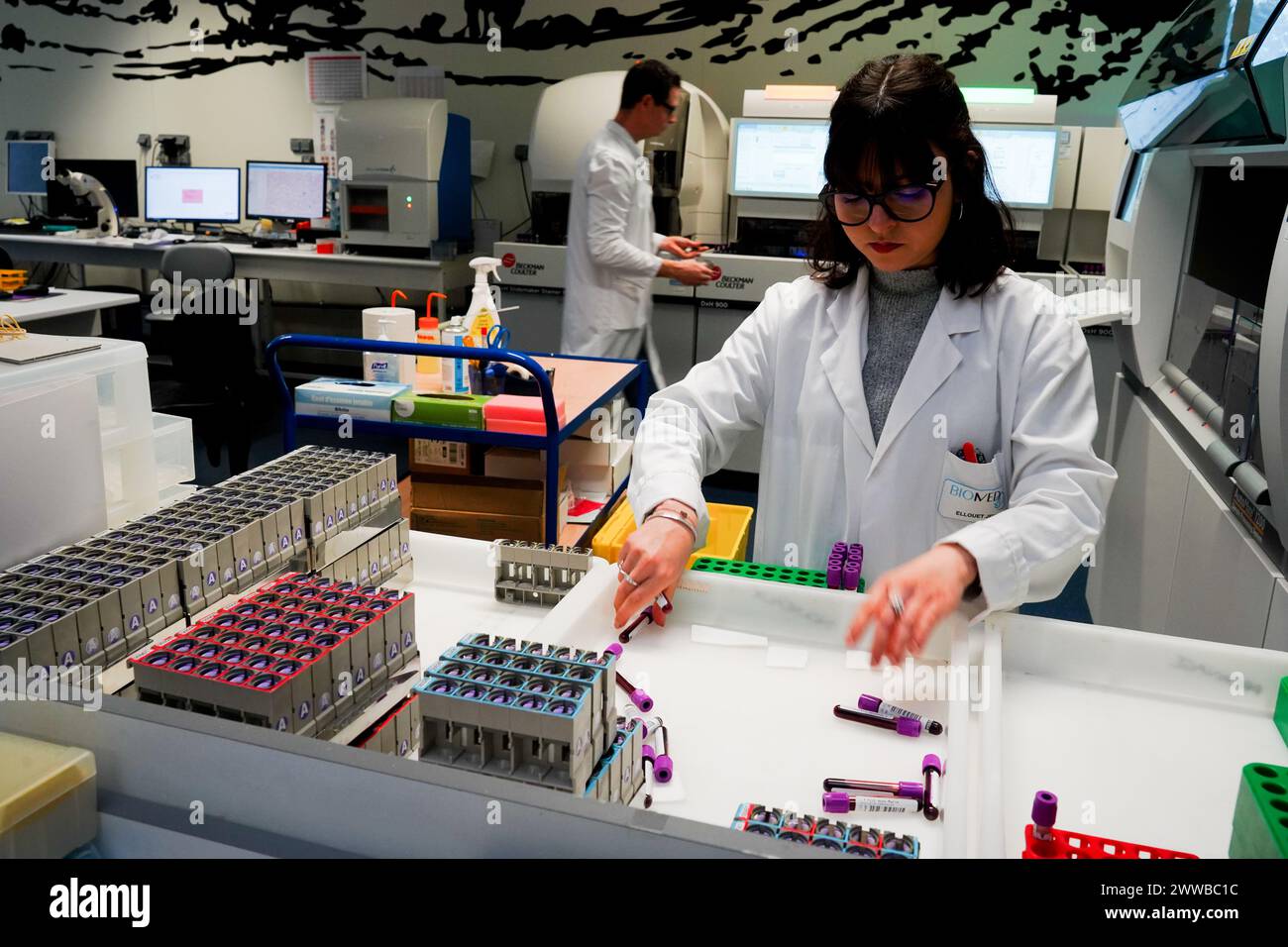 Technical platform of the Inovie 34 laboratory . Sorting sample tubes from other laboratories ...