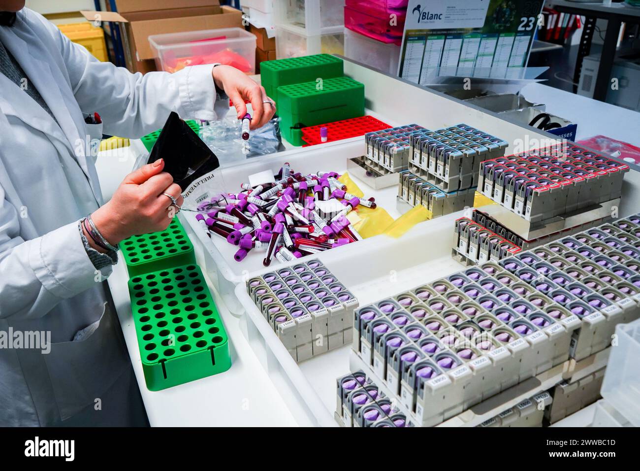 Technical platform of the Inovie 34 laboratory . Sorting sample tubes ...