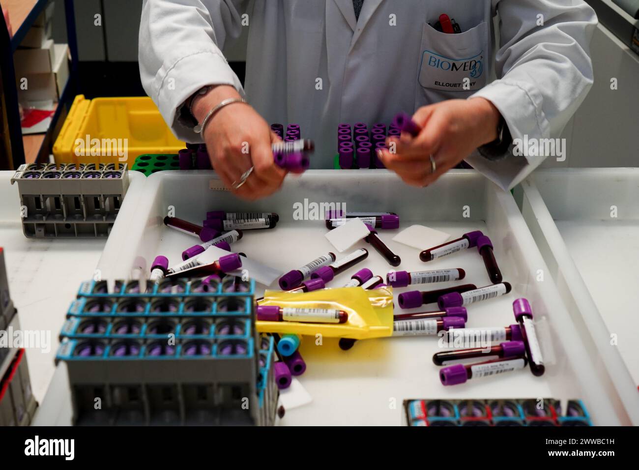 Technical platform of the Inovie 34 laboratory . Sorting sample tubes ...