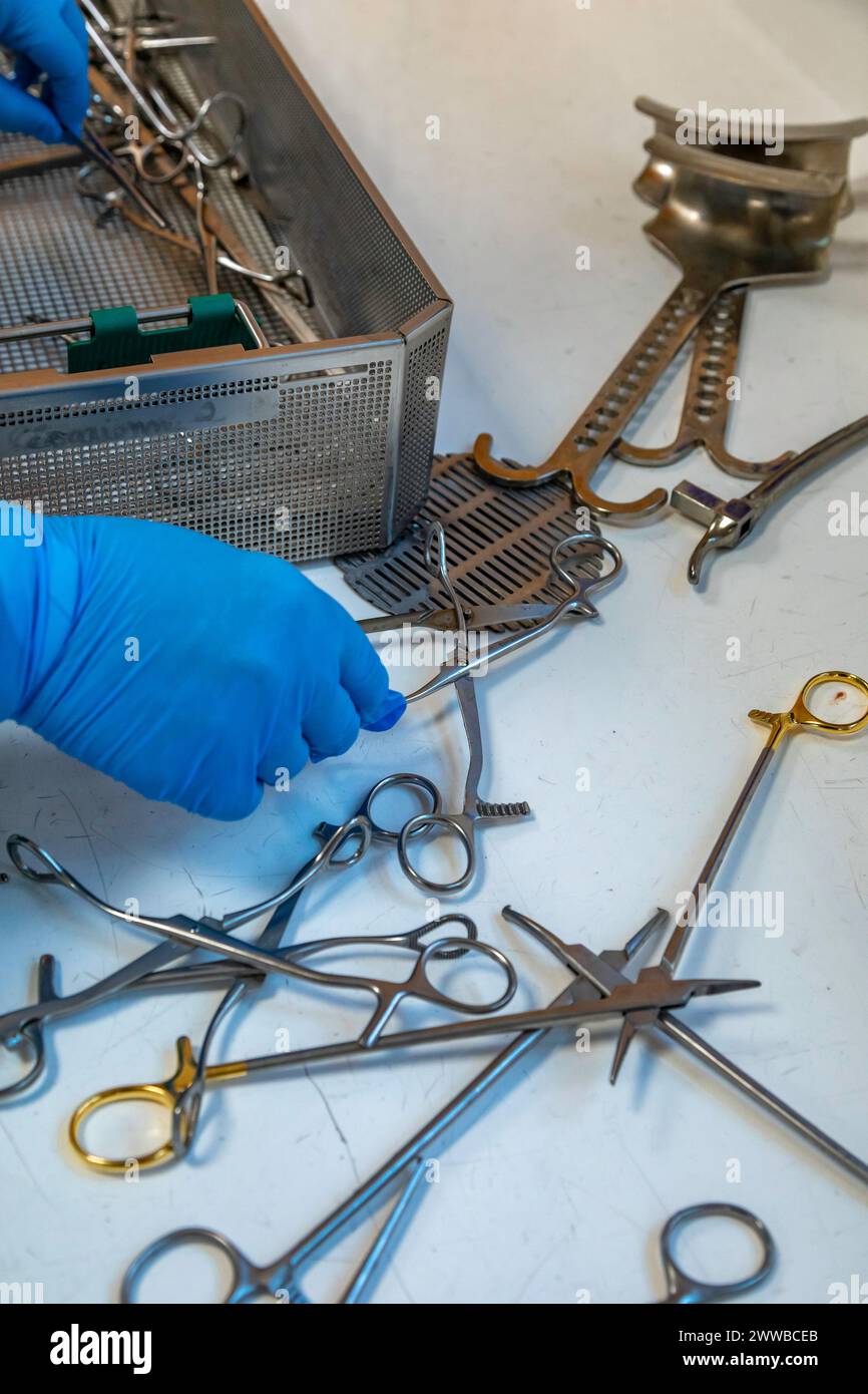 Gloved hands of a technician handling surgical instruments in the tray ...