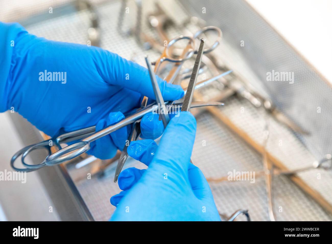 Tray handling hi-res stock photography and images - Alamy