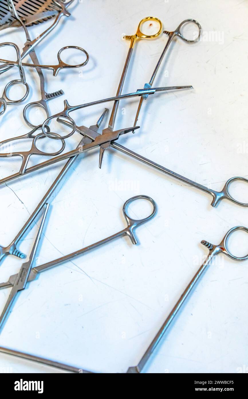 Washing surgical instruments hi-res stock photography and images - Alamy