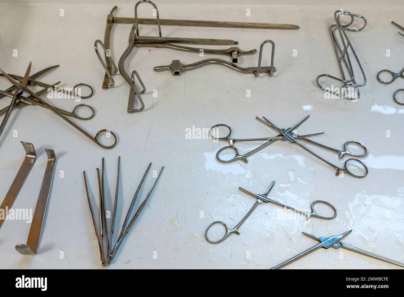 Surgical instruments in tray in washing room before sterilization Stock ...
