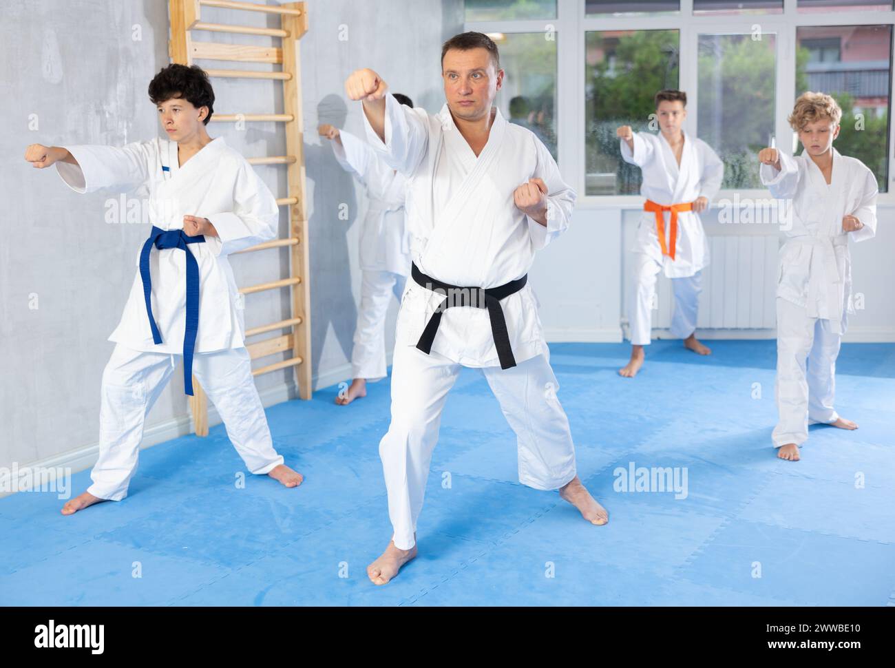 Karate instructor demonstrating kata sequence of movements to group of ...